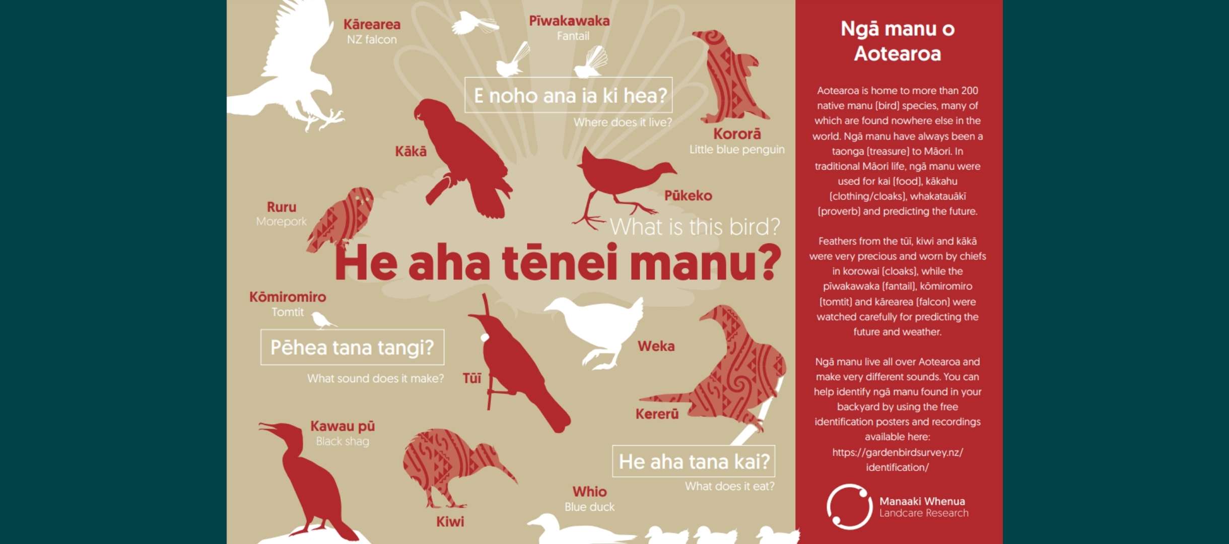 He aha tēnei manu? | Resources by NZAEE